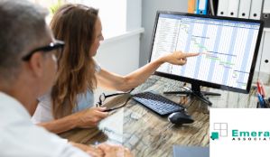 Welcome to Safran's Project and Risk Management Blogs I Safran | Gantt ...